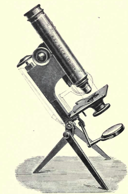 A close-up of a knifeDescription automatically generated with low ...