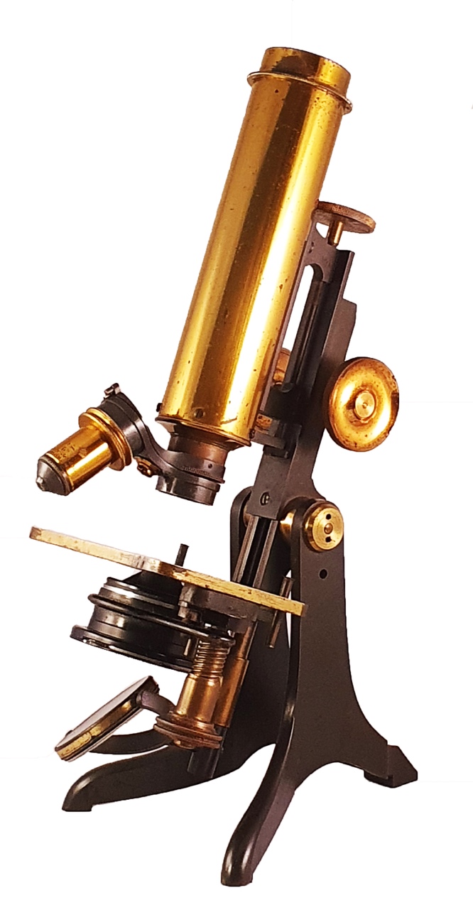 A picture containing tableDescription automatically generated